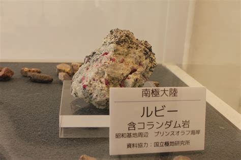 第3回企画展世界6大陸の宝石化石めぐり 玄武洞ミュージアム