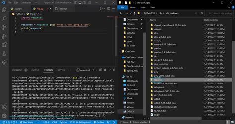 trouble importing requests package 2nd video of python package index