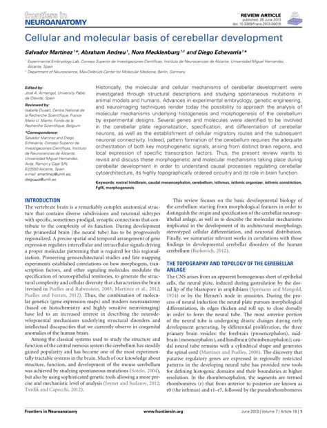 PDF Cellular And Molecular Basis Of Cerebellar Development