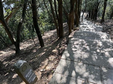 深圳梧桐山爬山记录 知乎
