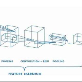 The Logic Of Convolutional Neural Network Download Scientific Diagram