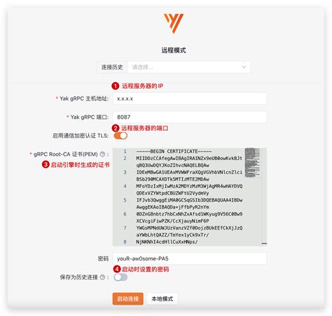 本地模式与远程模式 yak program language