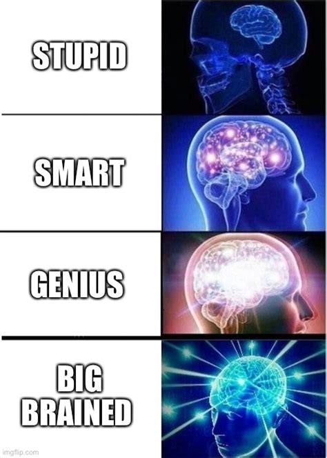 Brain Genius Chart Imgflip