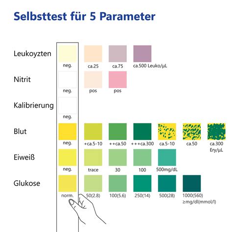 5 Parameter Urin Teststreifen 🩺 Luxmediq De