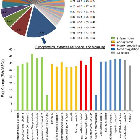 functional annotation clustering using david 6 7 of proteins enriched