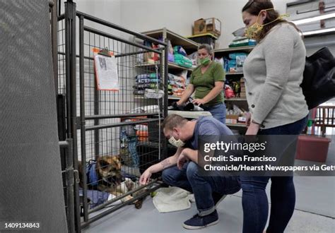 Carol Barr Photos And Premium High Res Pictures Getty Images
