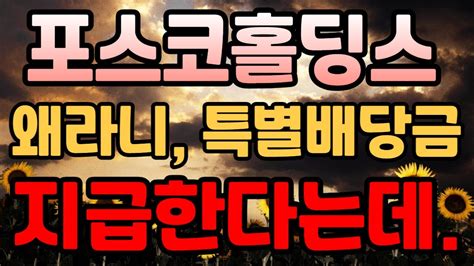 Posco홀딩스 왜라니 특별배당금 지급한다는데 뭔말이 더 필요해 포스코홀딩스 주가전망 포스코 철강 2차전지