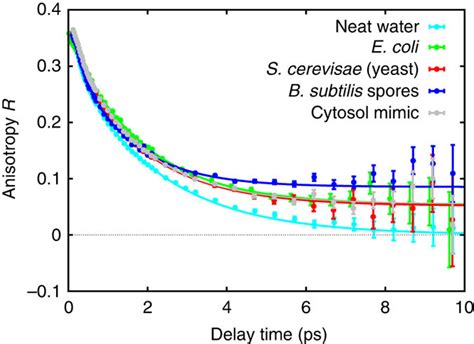 Time Resolved Infrared Spectroscopy Measurements Of Water Dynamics