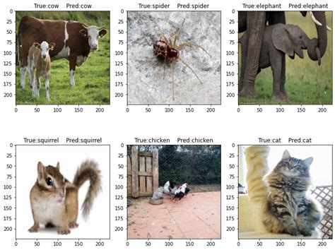 github skandavivek pytorch transfer learning deep transfer learning tutorial in pytorch on