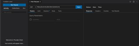 Api Testing With Thunder Client Synapse Qa