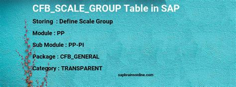 Cfb Scale Group Sap Table For Define Scale Group
