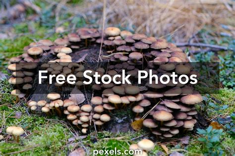 Moisture Mapping Photos Download The Best Free Moisture Mapping Stock