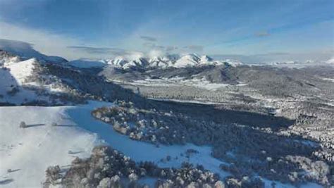 დათოვლილი ბაკურიანი ტყე Stockfootage