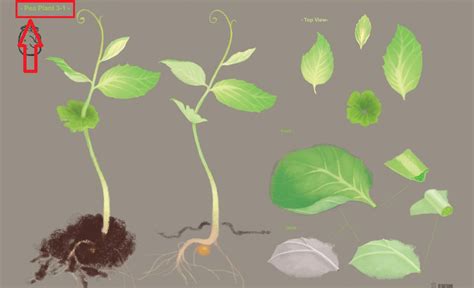 Wall E What Kind Of Plant Did Eve Find Science Fiction And Fantasy