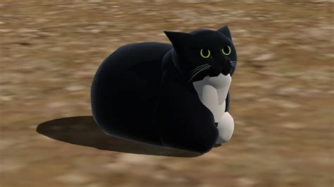 Simple Maxwell Youtube