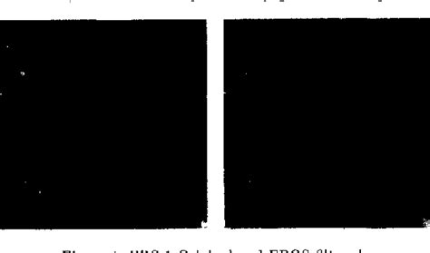 Figure 1 From Efficient Speckle Filtering Of Sar Images Semantic Scholar