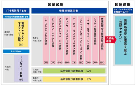 データベーススペシャリスト試験とは？難易度やメリット、合格のコツを解説