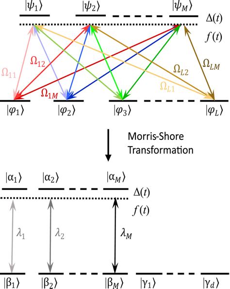 The Ms Transformation A Multistate System Consisting Of Two Coupled Download Scientific
