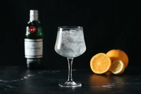 Gin Tonics Perfectos técnicas para el cóctel ideal