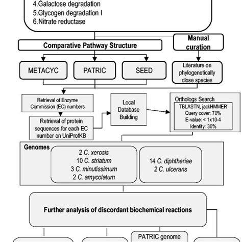 General Workflow Of The Bioinformatics Analysis Download Scientific Diagram