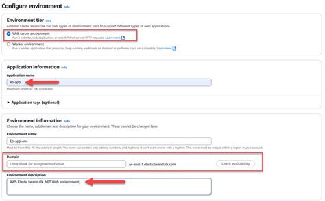 how to use persistent storage with aws elastic beanstalk windows deployment microsoft