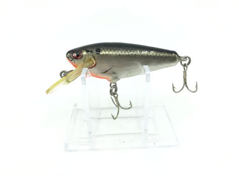 Bagley Small Fry Shad Vintage Bait Shad Color Orange Belly My Bait Shop Llc