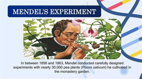 Genetics Inheritance Mendelian Genetics Non Mendelian Genetics Pptx