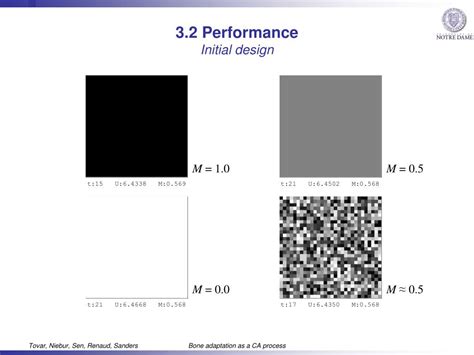 Ppt Bone Structure Adaptation As A Cellular Automaton Optimization Process Powerpoint