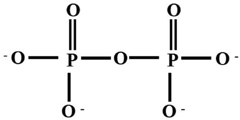 Structure Of Pyrophosphate Chambers Et Al 2008 Download Scientific Diagram