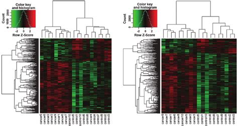 Hierarchical Clustering Heatmap For Differentially Expressed Genes