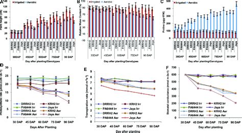 Assessment Of Physiological Parameters Of Field Grown Rice Varieties Download Scientific