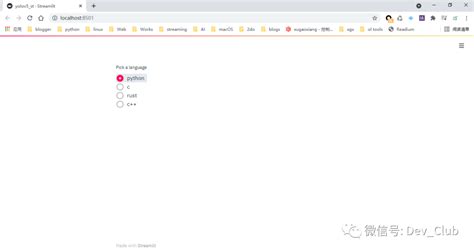 streamlit部署yolov5目标检测 csdn博客