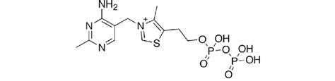 6 Chemical Structure Of Thiamine Pyrophosphate From Left To Right Download Scientific