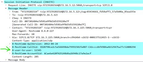 using x user to user in architect genesys cloud integrations