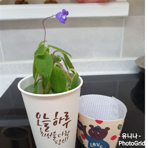 고요속의 외침 마음에 머물다 나 편하자고 나 편하자고 누군가를 힘들게 하지 말고 나 행복하자고