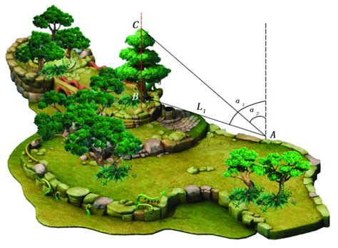The Tree Height Measurement Method A Represents The Test Station B Download Scientific