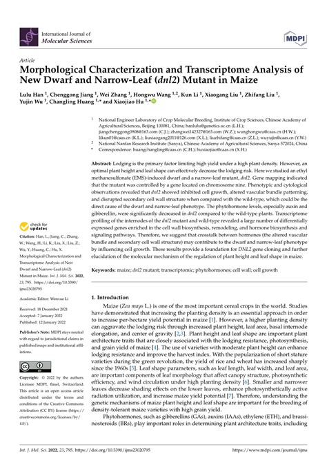 Pdf Morphological Characterization And Transcriptome Analysis Of New