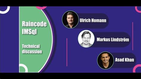 Rashmi Shukla On Linkedin Raincode Imsql Technical Discussion