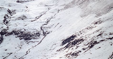 감기 감자칩 겨울 경치 경치가 좋은 계절 고립된 고요한 광야 광활한 기후 깨끗한 날씨 눈 눈 내리는