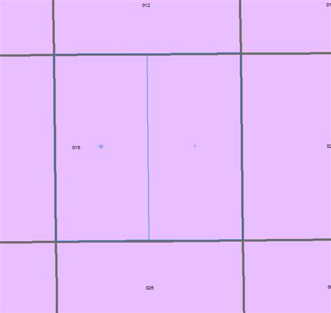 Arcgis Desktop Data Driven Pages Displaying Each Polygon Within A