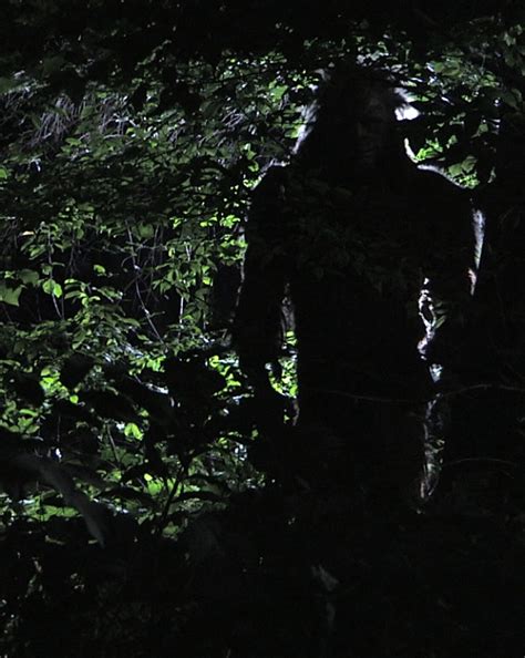 Daily Grindhouse Sweet Prudence And The Erotic Adventure Of Bigfoot 2011 Daily Grindhouse