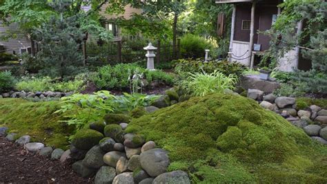 Moss Lawn The Simple Art Of Moss Gardening Best Tips