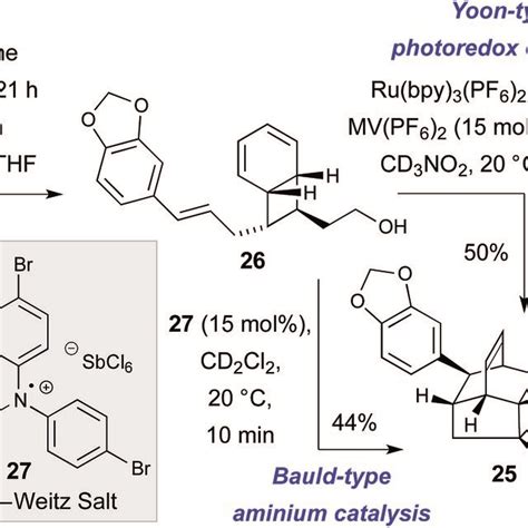 Radical Cation Formal Imda Reaction Of Bicyclo[4 2 0]octadiene 26 Download Scientific Diagram