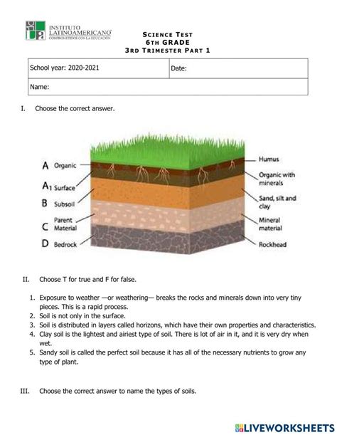 6b Science Test T3 Part 1 Interactive Worksheet Live Worksheets