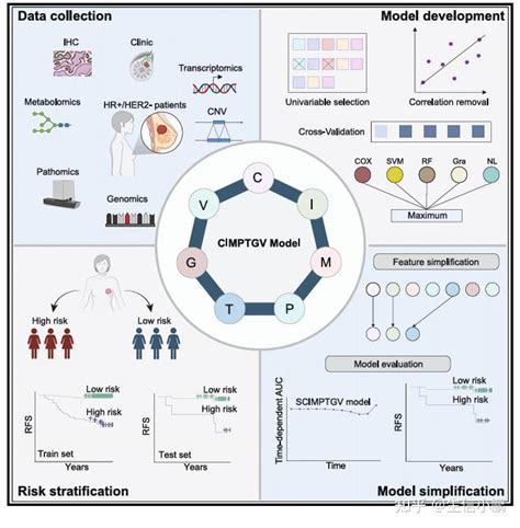 cell reports medicine ai 多组学，精准预测乳腺癌复发：怎么做预测模型的研究 知乎
