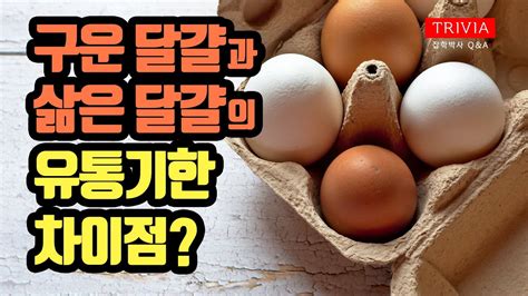 구운 달걀과 삶은 달걀의 유통기한 차이점 Youtube