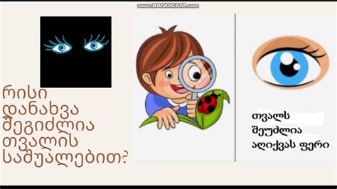 შეგრძნების ორგანოები ბუნება I კლასი Youtube