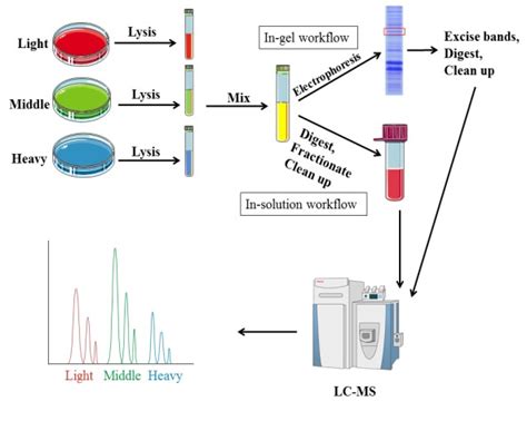 Proteomics Approaches To Studying Protein Relative Quantification
