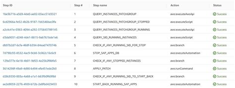 Aws Ec2 Os Patching Automation For Sap Landscape Rerpfm