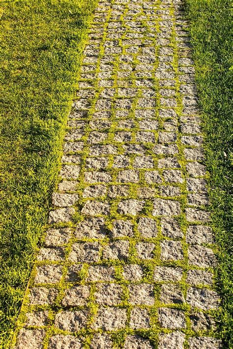 Cobblestone Stone Pavement Background Texture Textured Ground Block Photo And Picture For Free Cobblestone Stone Pavement Background Texture Textured Ground Block Photo And Picture For Free